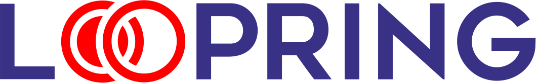 Loopring India Private Limited | Comprehensive IT & Software Solutions in Jaipur